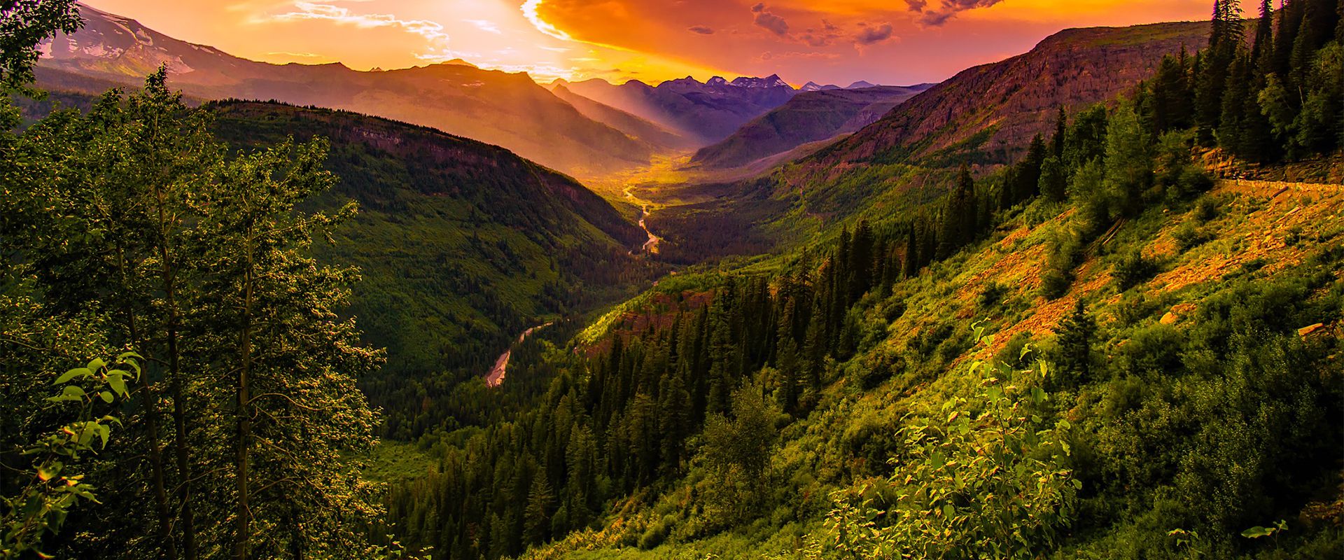 Duis sagittis ipsum - Districentre.com